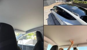 Tesla Model Y Standard Still Has Glass Roof, Just Different Tech, VP ...